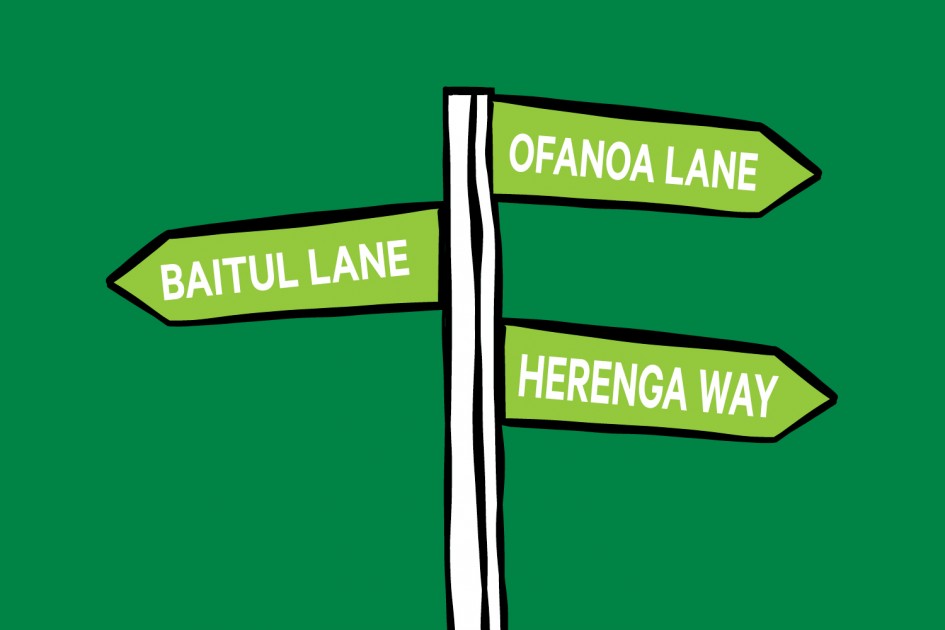 New street names honour people, place and connection » Roskill Development